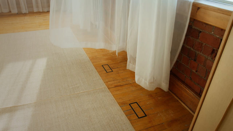 How to Improve Indoor Air Quality in Your Home – Fittes 🍁